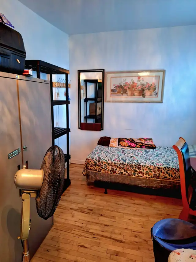 Need Flatmet/Room for 2 girls,or for 1 Near Metro Frontenac/Parc | Room ...