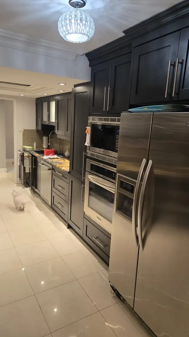 Modern Dark Wood Kitchen Cabinets | Cabinets & Countertops | Markham ...