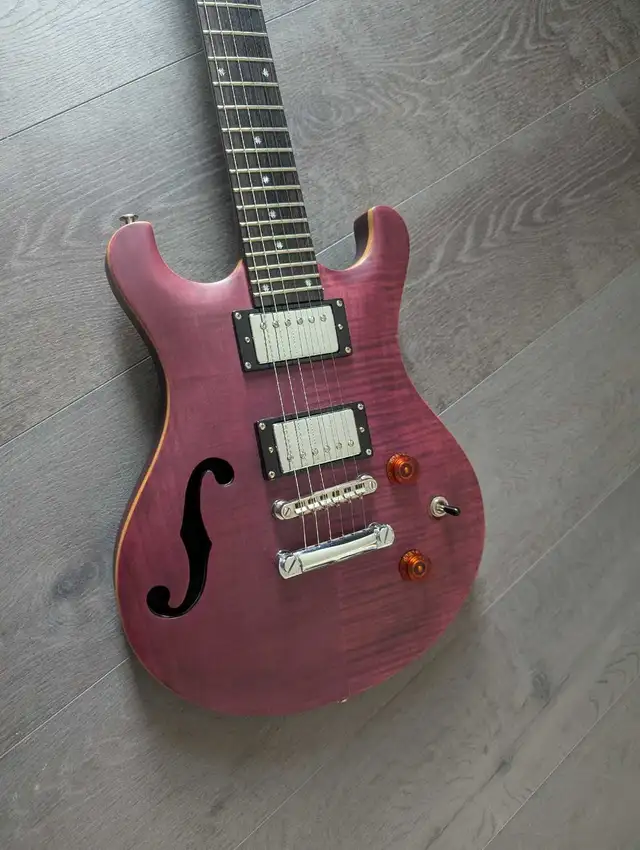 Beautiful Legator dch300 pro guitar with lots of features | Guitars ...