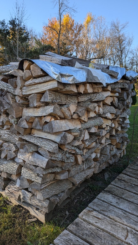 Firewood: Seasoned HardWood Cut and Split, mostly Ash 3+ Cords | Other ...