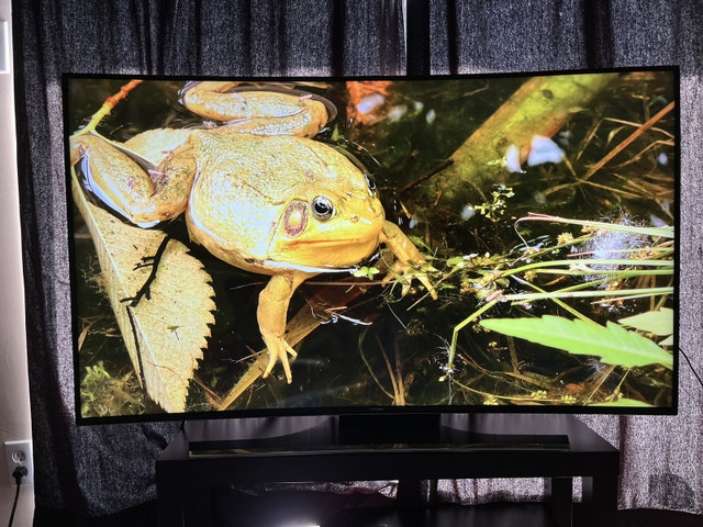 SAMSUNG 55” Curved 4K UHD SMART TV + 4K Amazon Firestick | TVs ...