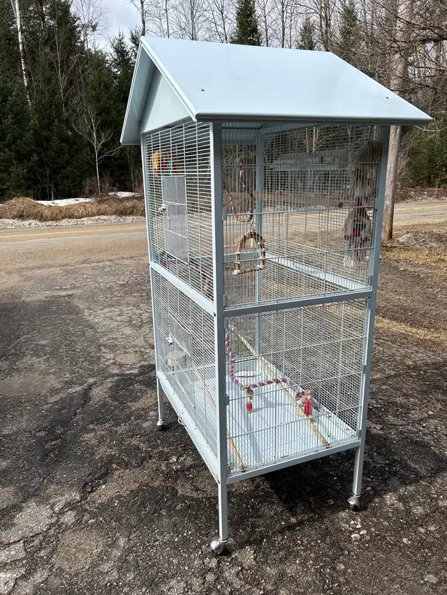 TRÈS GRANDE CAGE D’OISEAU BUD’Z | Accessories | Val-d'Or | Free local ...