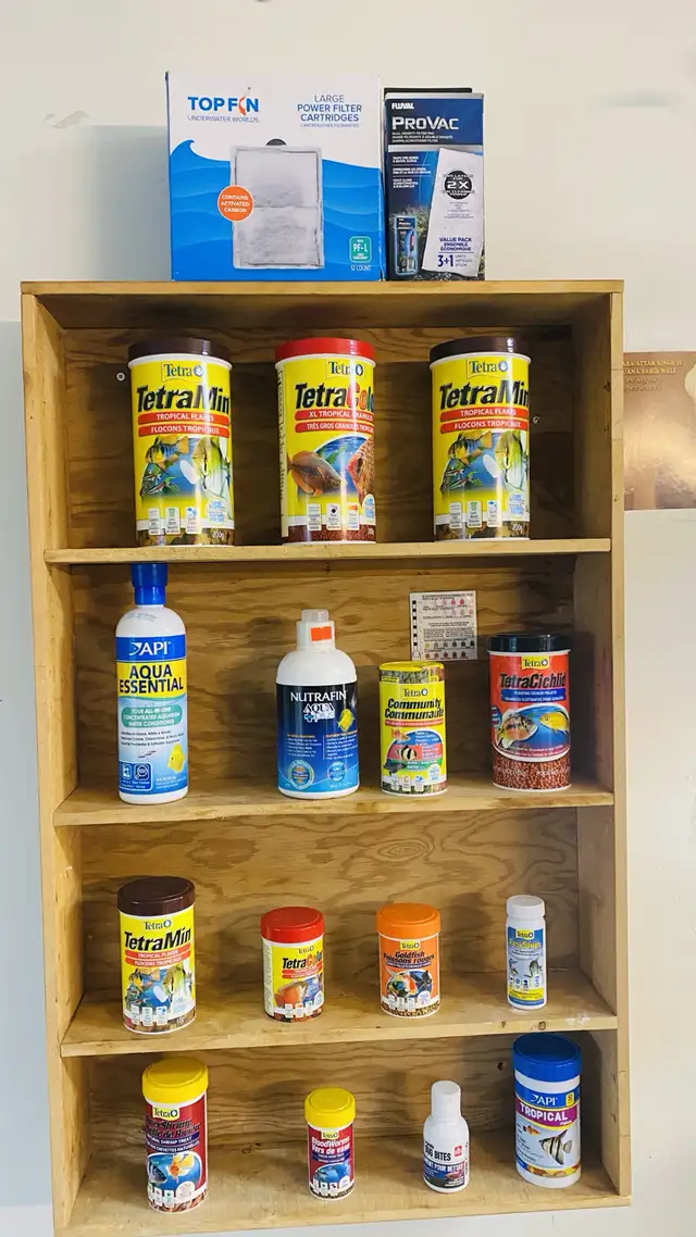 30 Gallon tank+Fish+Food+Full setup | Fish for Rehoming | Richmond ...