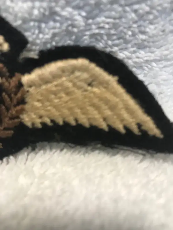A Pair of WW2 British Royal Air Force Pilots Wings Kings Crown | Arts ...