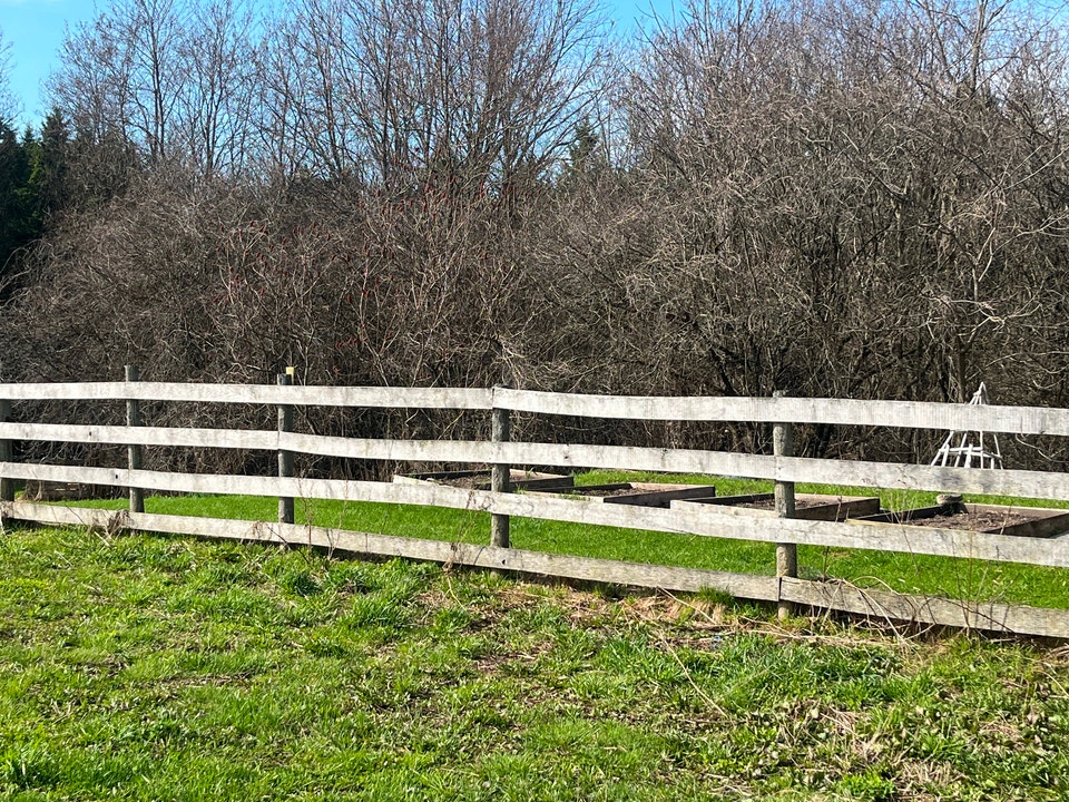 Oak fence boards | Decks & Fences | Oshawa / Durham Region | Free local ...