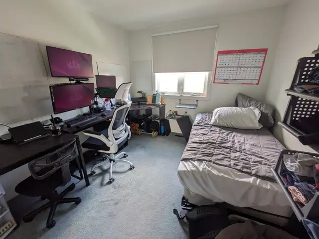 Mature Student, Young Professional, Central, Furnished | Room Rentals ...
