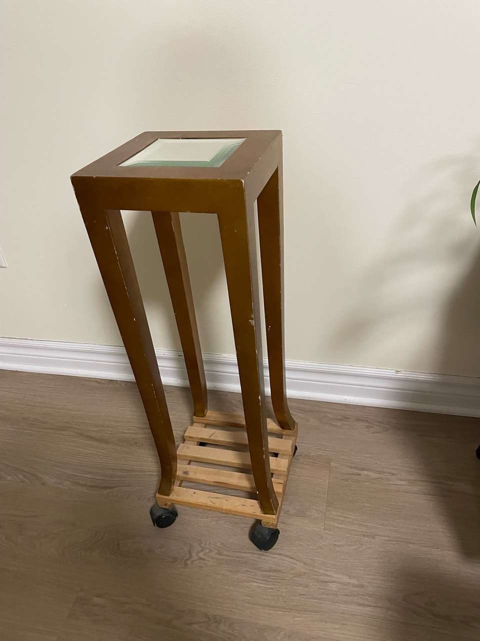 Mirrored Plant Stand on Rolling Base | Plants, Fertilizer & Soil ...