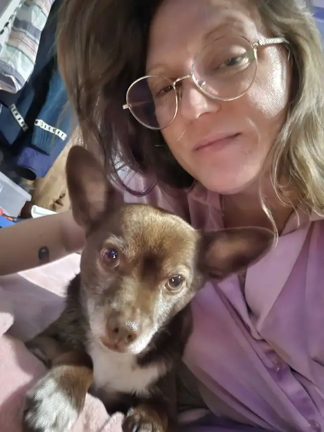 looking for a room to rent | Room Rentals & Roommates | Norfolk County ...