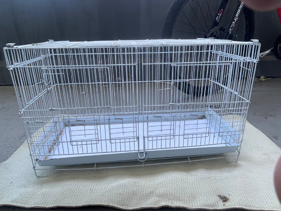 Canary finch flight cage | Birds for Rehoming | City of Toronto | Free ...