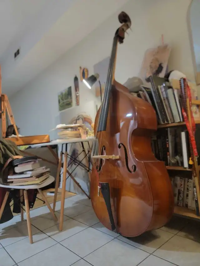 Strunal Upright Bass – Czech Made – Good Condition + Pickup | String ...