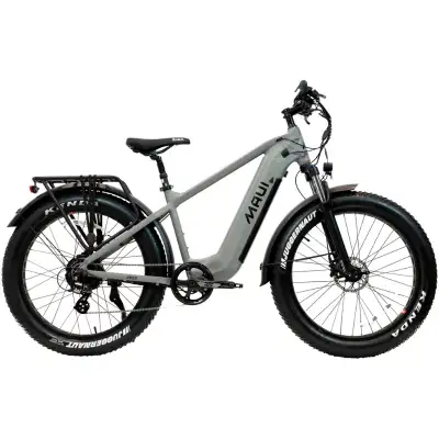 Find New Used Ebikes for Sale in British Columbia Free Local Classifieds Kijiji