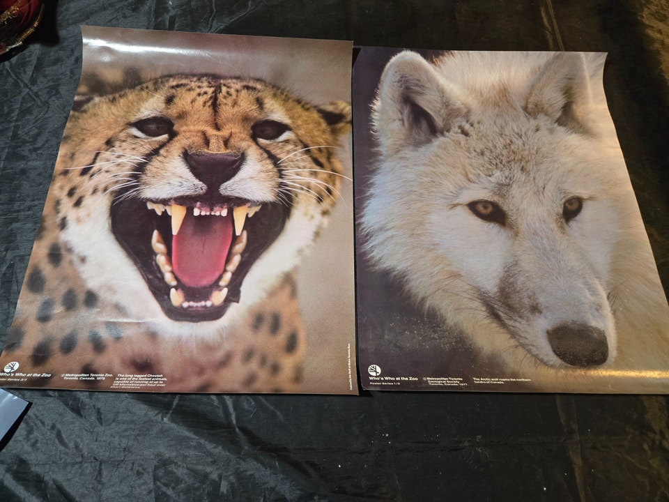 Set of 6 Toronto Zoo Posters - Who's Who at the Zoo? | Arts ...