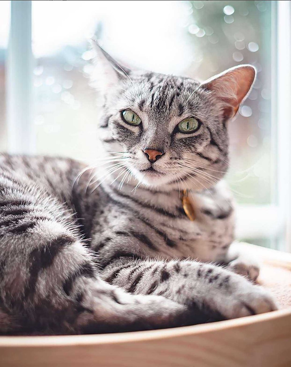 Senior with first and last needs to move in Feb 1rst! | Long Term ...