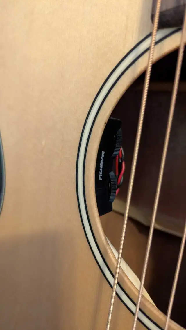 Art & Lutherie Concert Hall Acoustic Guitar | Guitars | Bedford | Free ...
