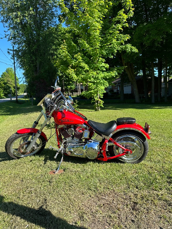 1995 Harley Davidson soft tail motorcycle | Street, Cruisers & Choppers ...