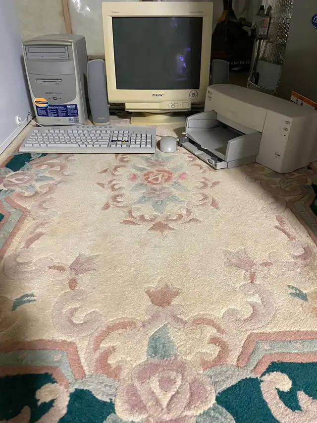 Retro Gaming HP Desktop Computer & Sony CRT Monitor & Printer | Desktop ...