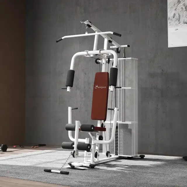 Multifunction Gym Equipment Workout Station with 100Lbs Weight S ...