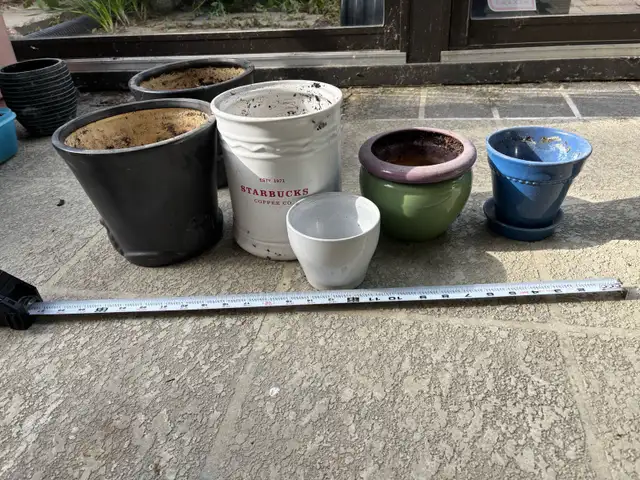 Starbucks and Various Ceramic Pots | Plants, Fertilizer & Soil ...