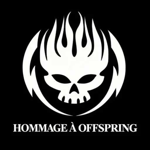 Cherche lead guitariste - Hommage à Offspring | Artists & Musicians ...