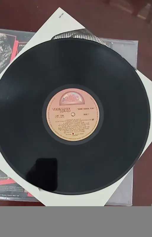 Vintage Teenage Head 1982 LP Vinyl Record " Some Kinda Fun " | Arts ...