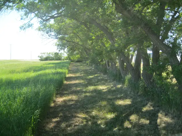 Acreage for Sale | Land for Sale | Saskatoon | Free local classifieds ... Acreage for Sale | Land for Sale | Saskatoon | Free local classifieds ...