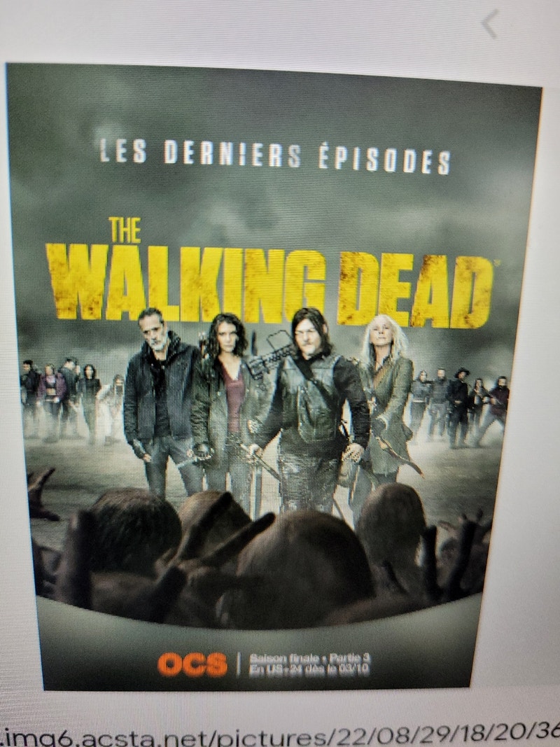 The walking dead | CD, DVD et Blu-ray | Sherbrooke | Kijiji