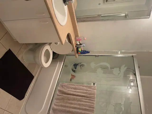 2 bedroom 1 bath basement available Feb 01 2026 | Long Term Rentals ...