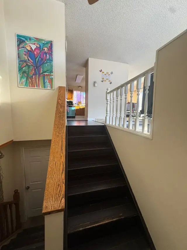 House For Rent 2603 49th Street Northwest | Long Term Rentals ...