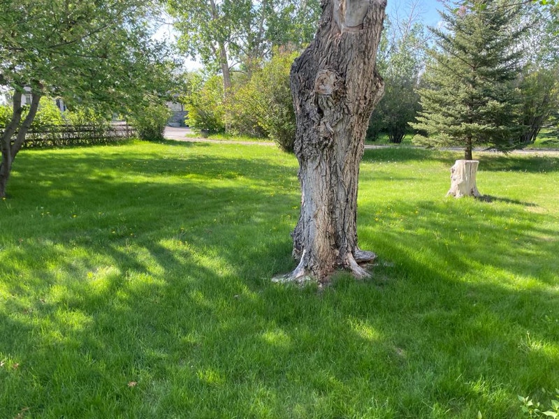 4 Bedroom House on Huge Treed Lot | Long Term Rentals | Calgary | Kijiji