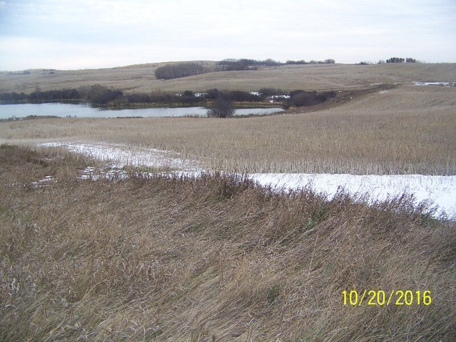 Farm LandSaskatchewan Fabulous Farm/Acreage/Development ! | Land for ... Farm LandSaskatchewan Fabulous Farm/Acreage/Development ! | Land for ...