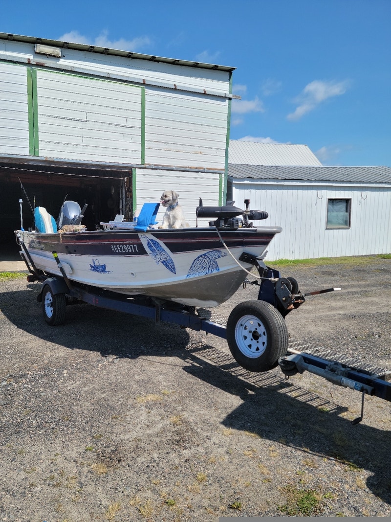 16' D/W Fishing boat | Powerboats & Motorboats | Sudbury | Kijiji