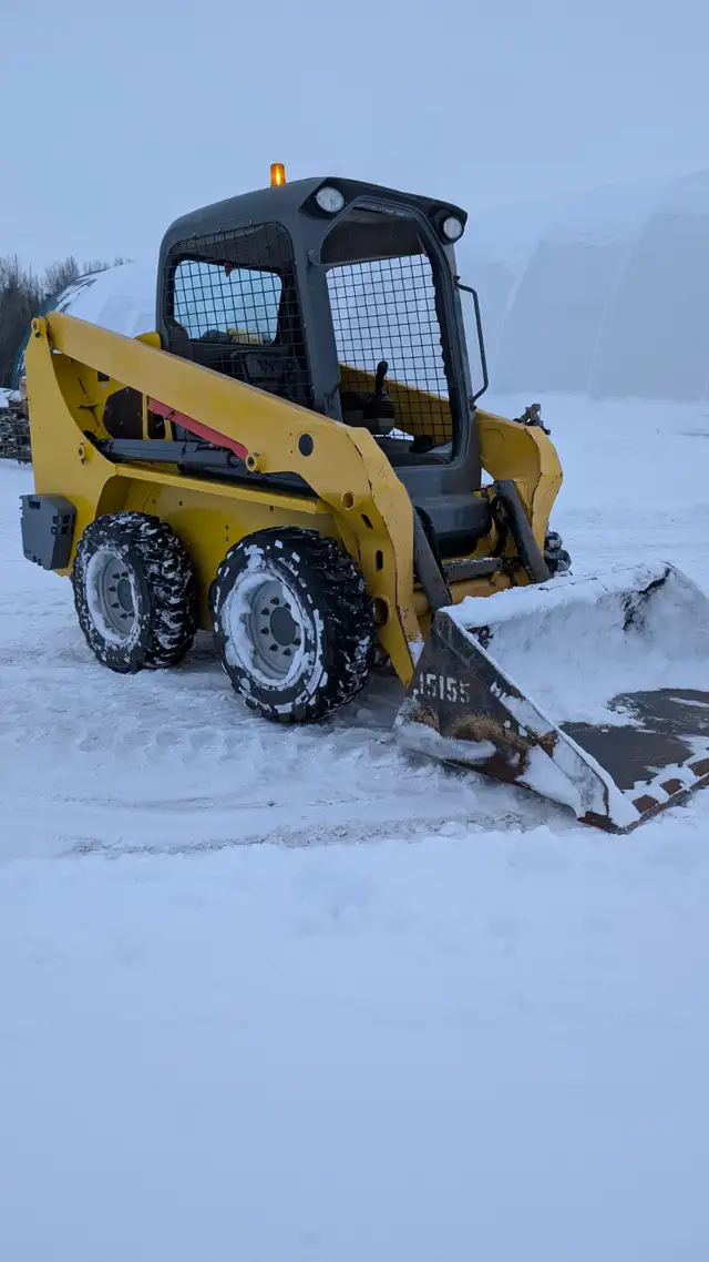 Mini loader Wacker neuson sw16 bobcat skid steere | Heavy Equipment ...