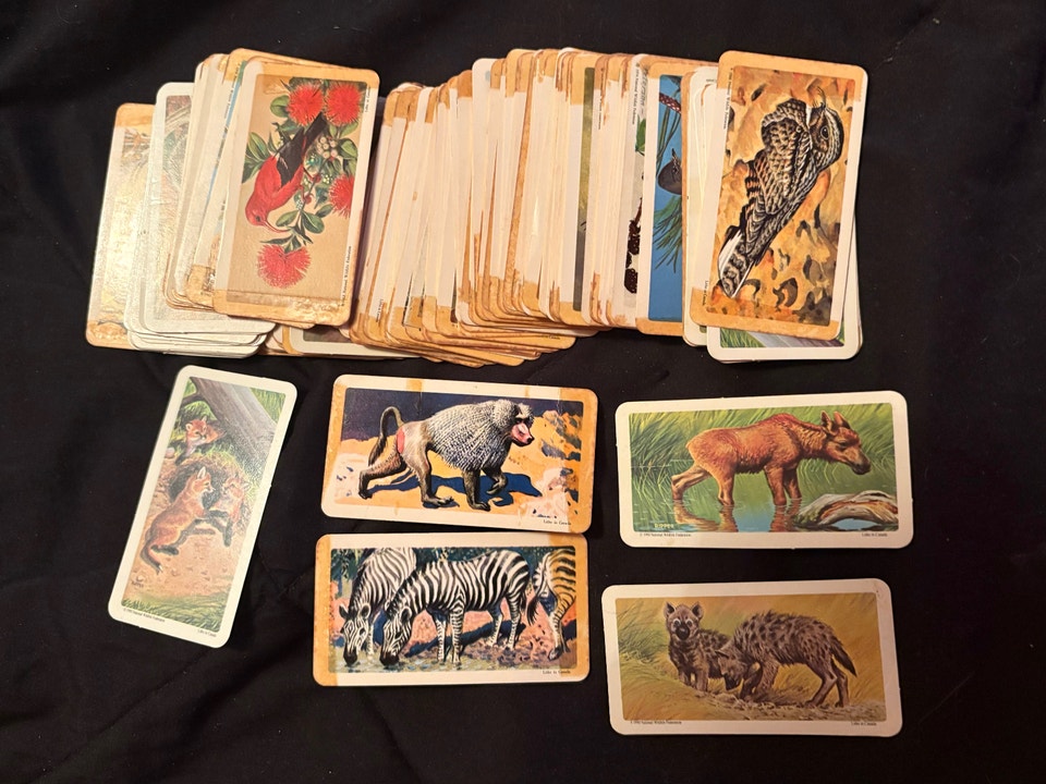 Brooke Bond Red Rose Tea Cards, 1960’s, Lot for Sale | Arts ...