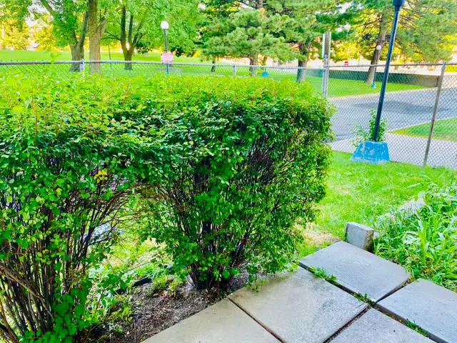 TORONTO 4 RENT GROUND-LEVEL LARGE CORNER SUITE | 401 & KIPLING! | Long ...