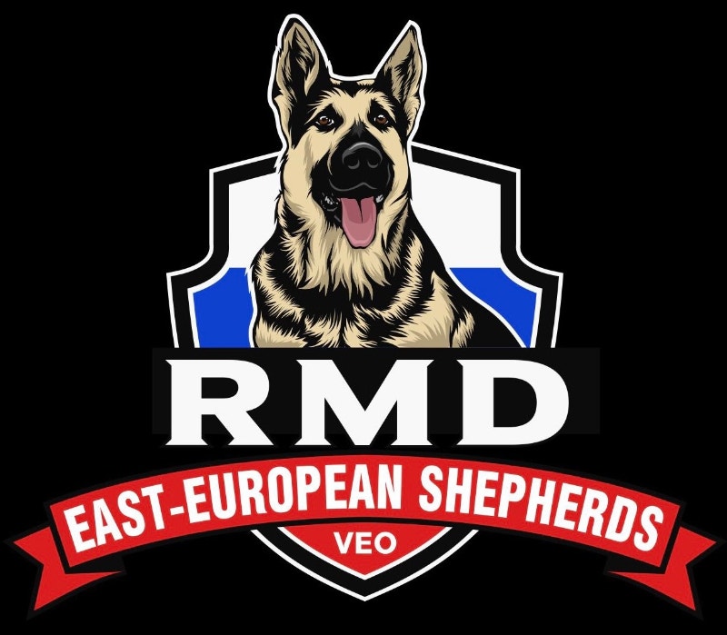 Champion Line East-European Shepherds (VEO) | Dogs & Puppies for ...