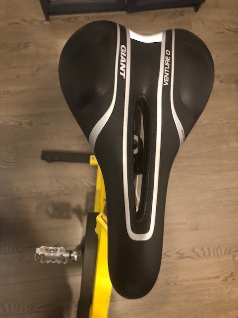 Lemond RevMaster Classic exercise bike | Exercise Equipment | Ottawa ...