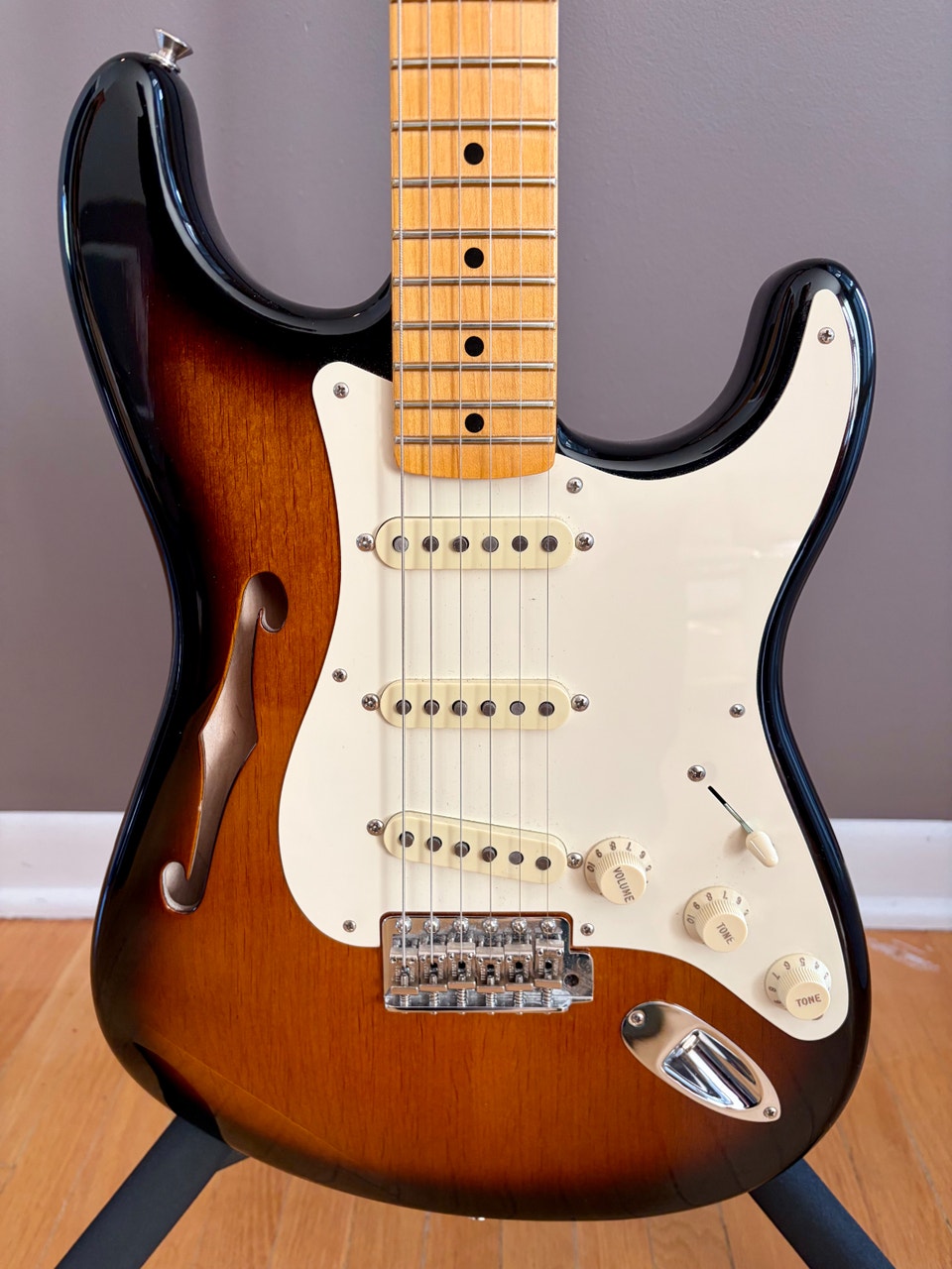 Fender Eric Johnson Thinline Stratocaster w/ OHSC | Guitars | Gatineau ...