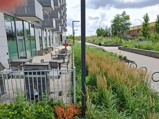 Only 50 Steps to Wilson Subway station! 1 bedroom with Parking | Long ...