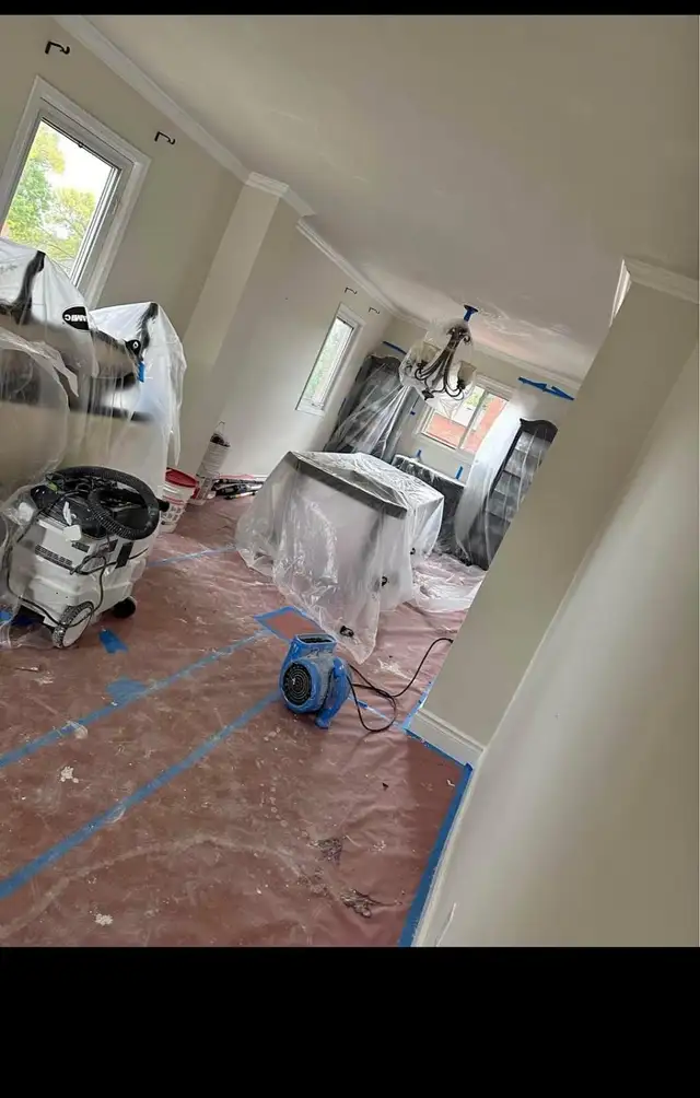 Painting Painters Paint Painter Spray Paint ☎️ 6473.6035.21 | Painters ...