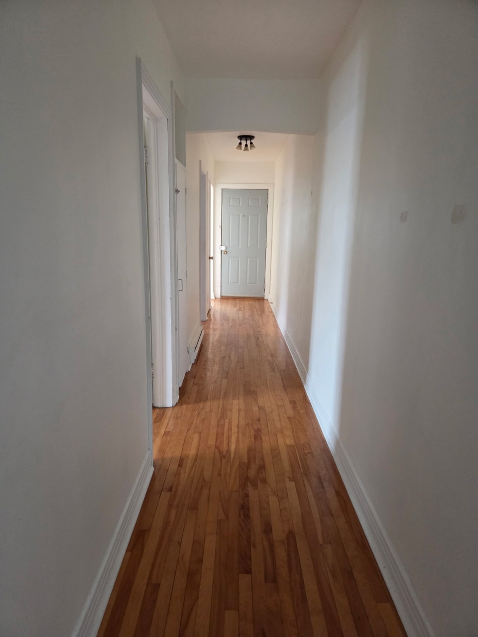 *Métro Jean-Talon : rue Boyer* | Long Term Rentals | City of Montréal ...