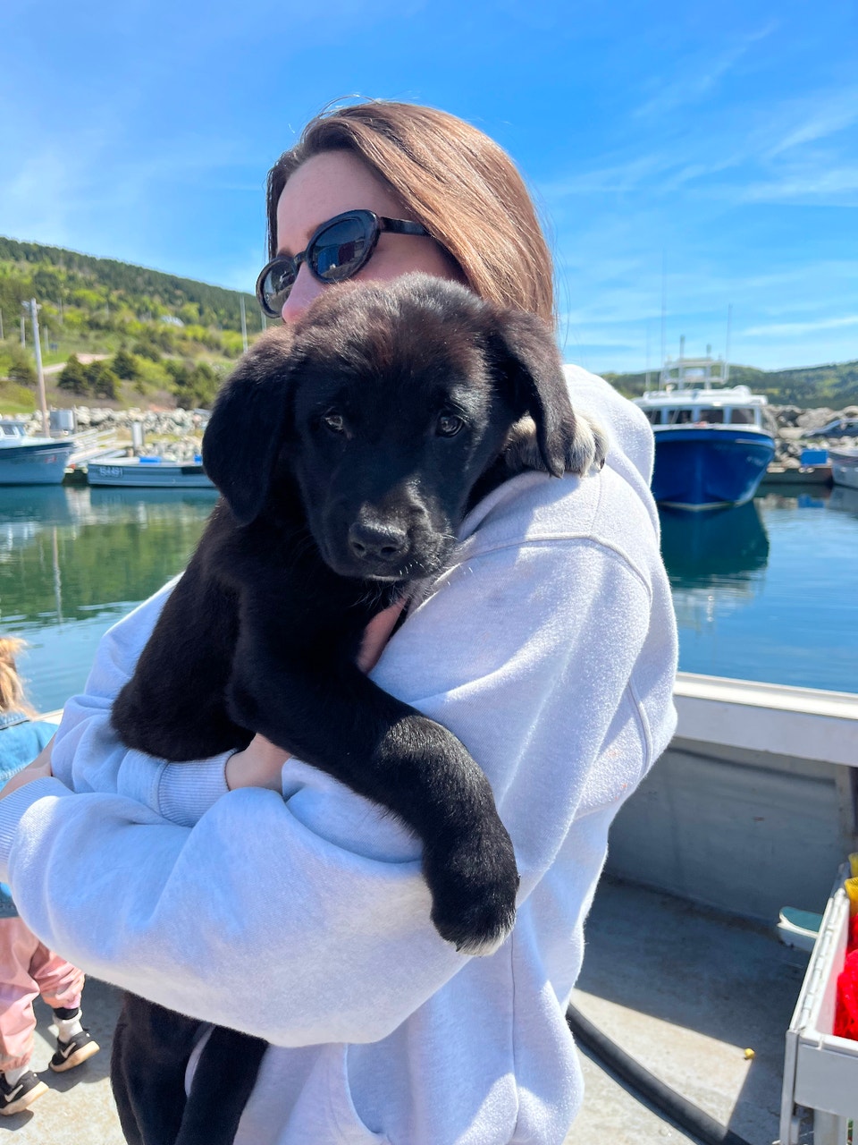 One last Mixed Breed Pup looking for forever homes! | Dogs & Puppies ...