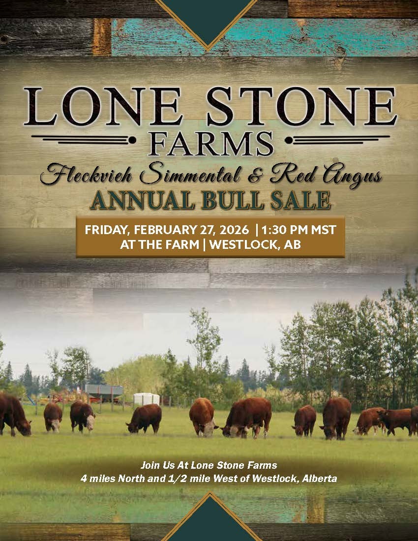 Lone Stone Farms Simmental & Red Angus Annual Bull Sale | Livestock ...