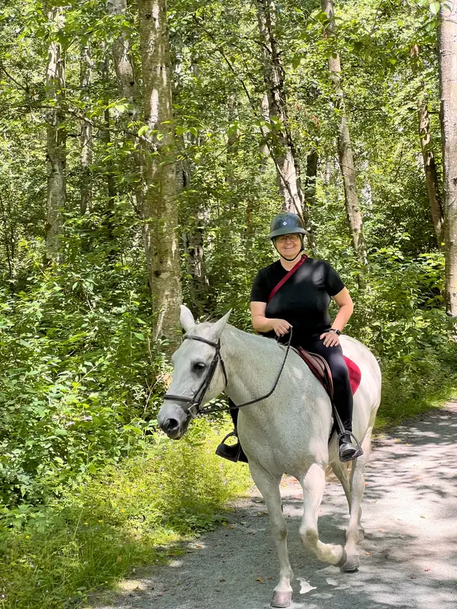 21 YO QHx Lusitano Gelding | Horses & Ponies for Rehoming | Tricities ...