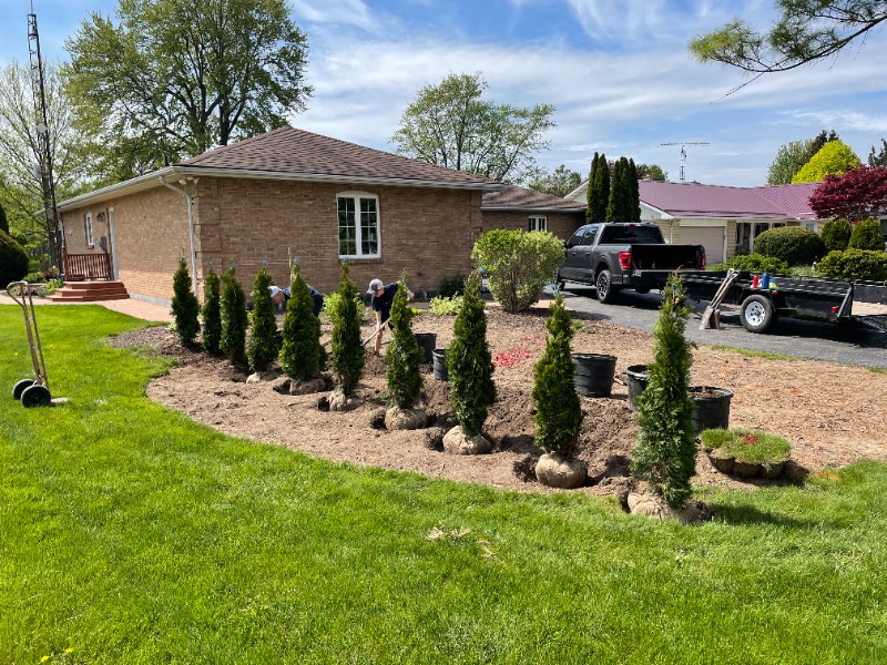 Ontario grown trees | Plants, Fertilizer & Soil | Windsor Region ...