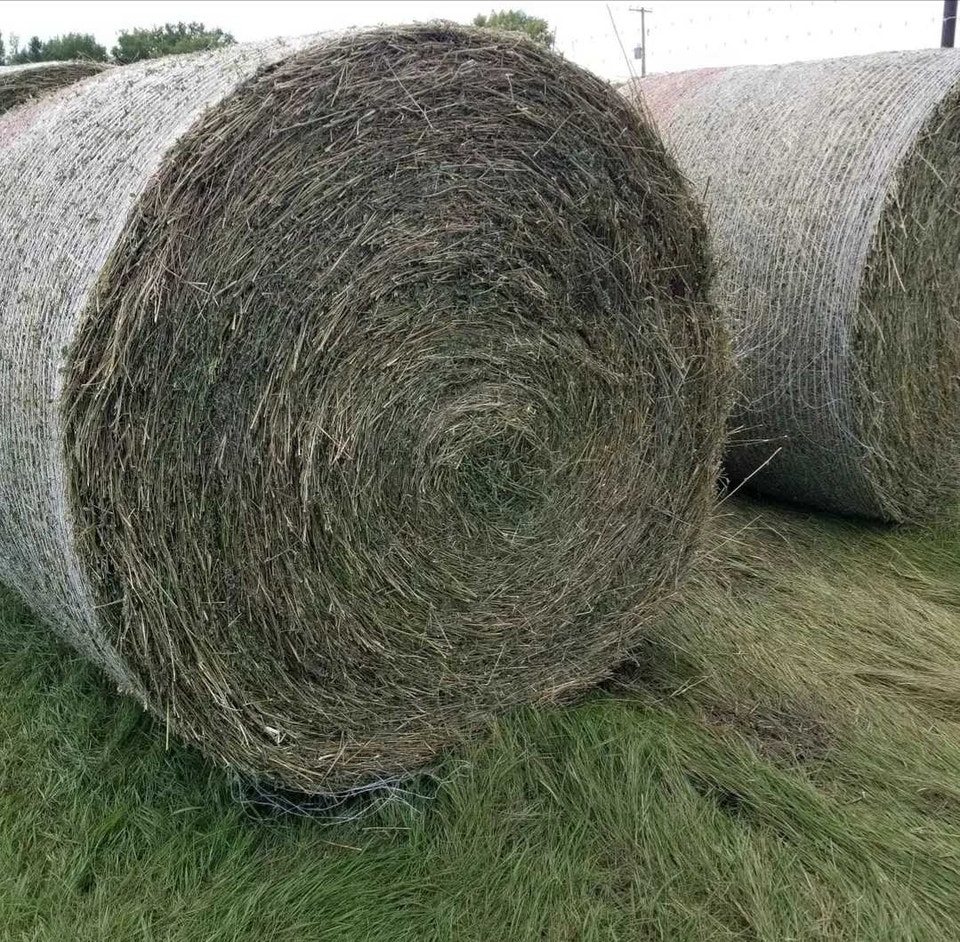 Hay bales | Livestock | Nipawin | Free local classifieds - Kijiji