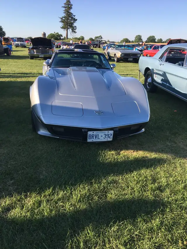 Chevrolet corvette- 1978 silver anniversary L-82 Muncie 21 four ...