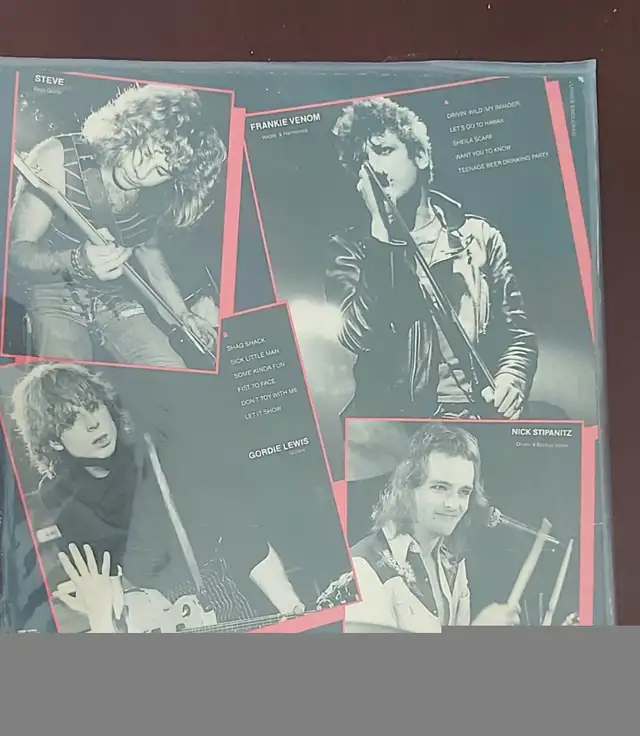 Vintage Teenage Head 1982 LP Vinyl Record " Some Kinda Fun " | Arts ...