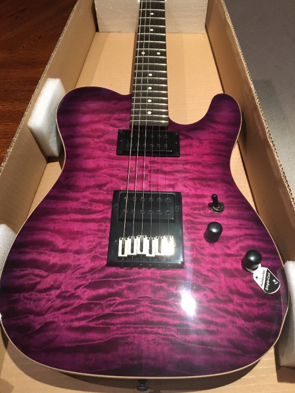Schecter PT Pro Trans Purple For Sale $1100 OBO Or Trade | Guitars ...