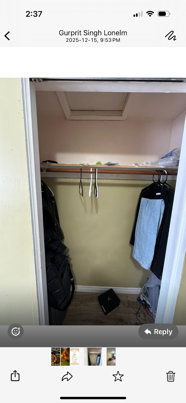 One Bedroom Available Near UW from 01 January 2026 | Room Rentals ...