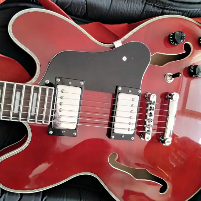 GIBSON HALLOW BODY ELECTRIC GUITAR A BUITTIFFULL COPY | Guitars | City ...